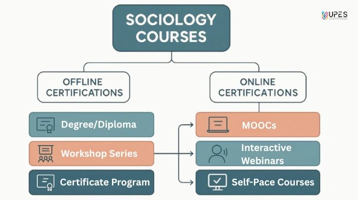 Best Sociology Courses- Online & Offline Certifications for Students